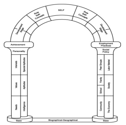 Donald Super's Development Theory🌾💩 II (Counsellors should note…