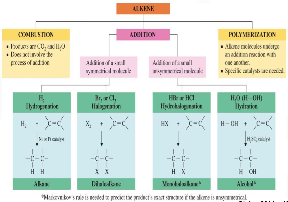 Hydrocarbons BIOB111 Session 8 (ALKENES (Chemical Reactions (Addition