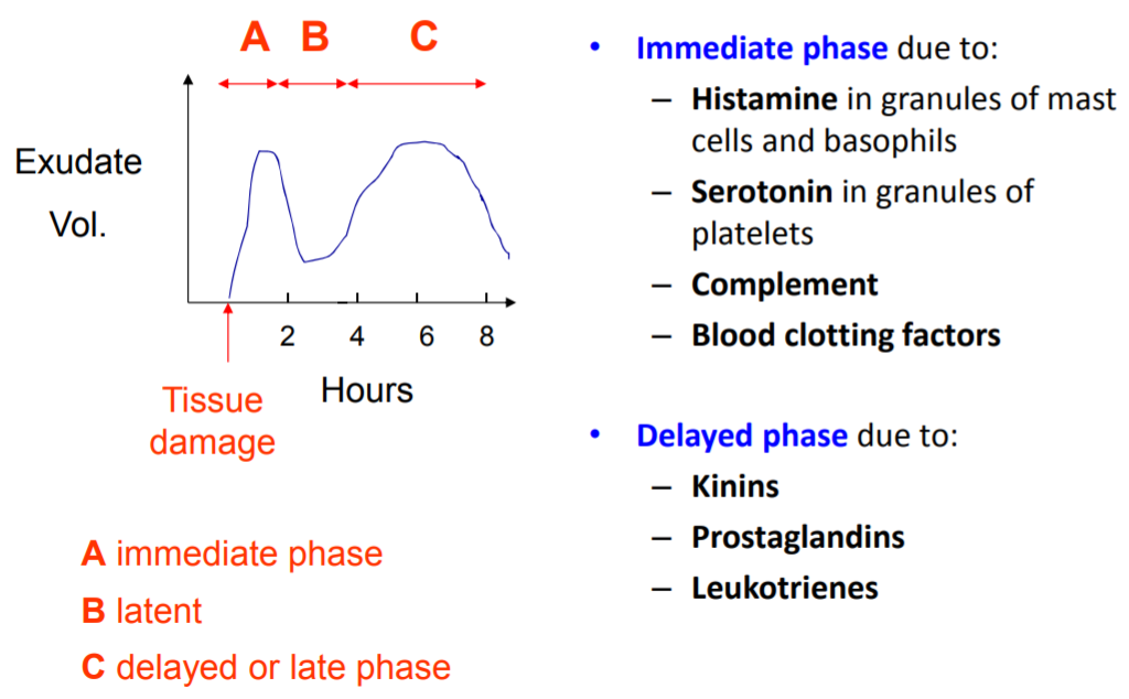 INFLAMMATION (HISTAMINE AND 5-HT ( Describe the types of drug classes,…